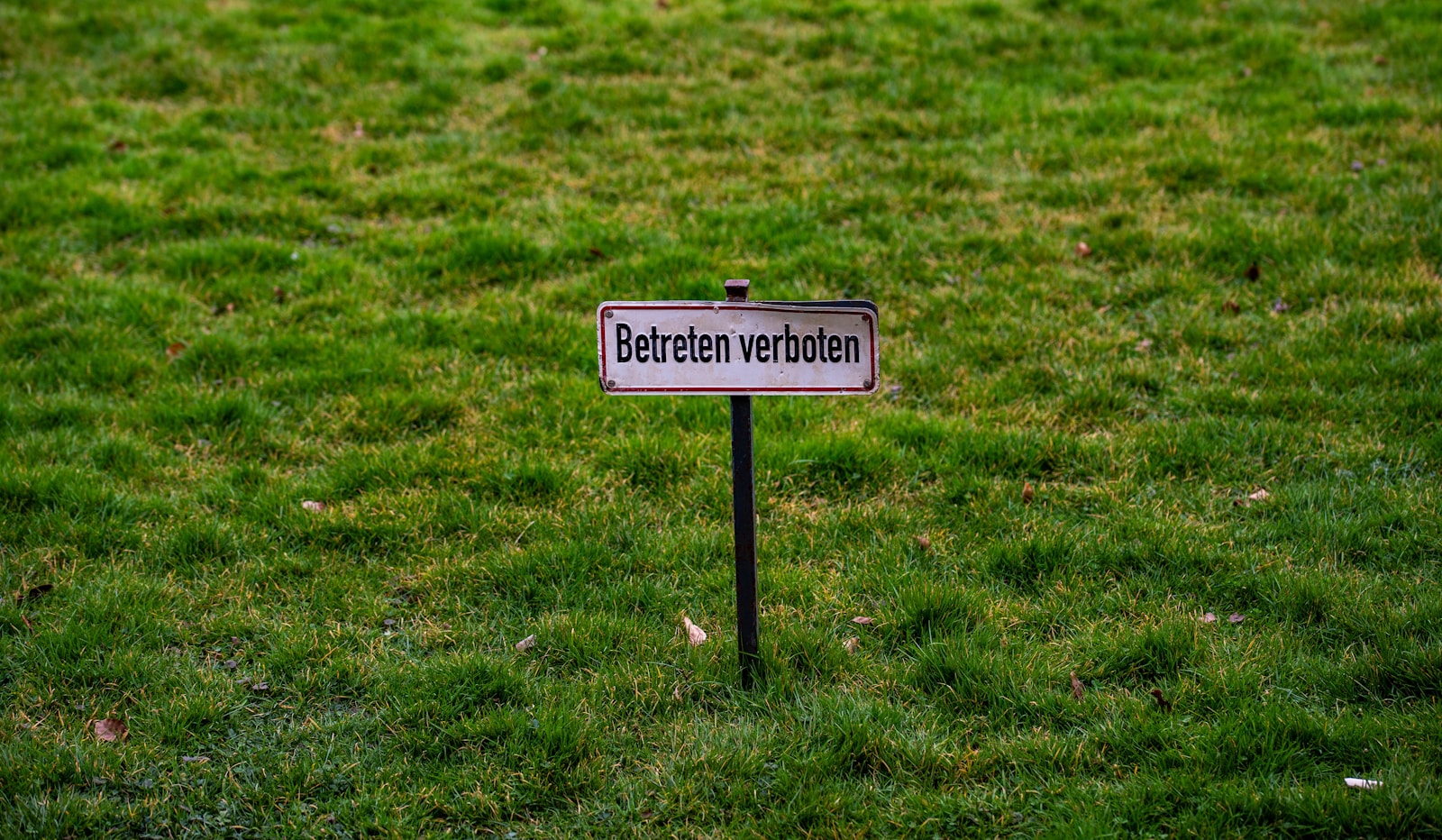 Green Grey's Andrey Yatsenko Passes Away, Leaving a Legacy | BackZee