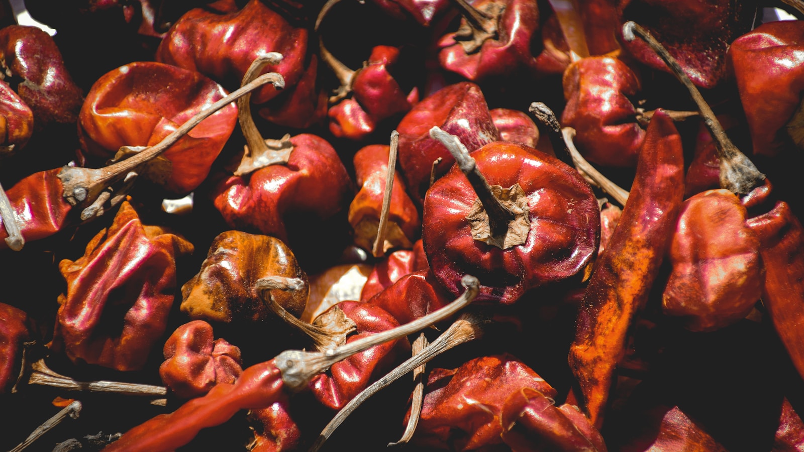 Autumn's Hottest Colors: Chili Pepper, Dark Chocolate & More | BackZee