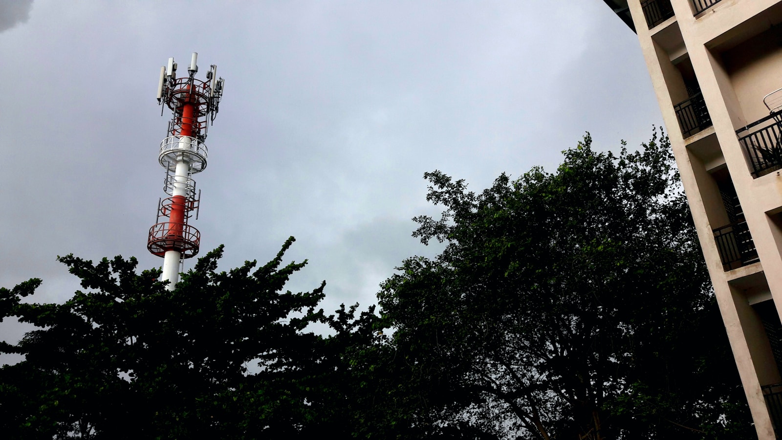 Major Outage Hits Zoom, Signal, and Snapchat Due to AWS Issues | BackZee
