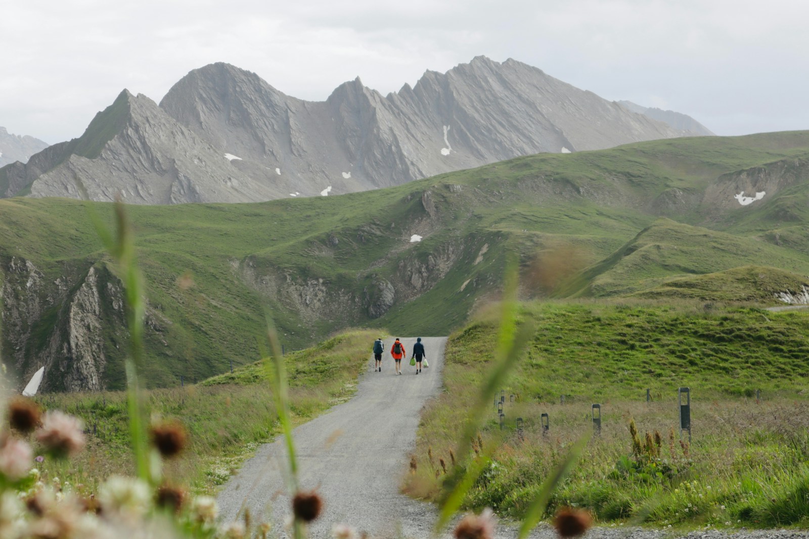Dagestan, Chechnya, and Ingushetia Lead in Healthy Lifestyle Rankings ...