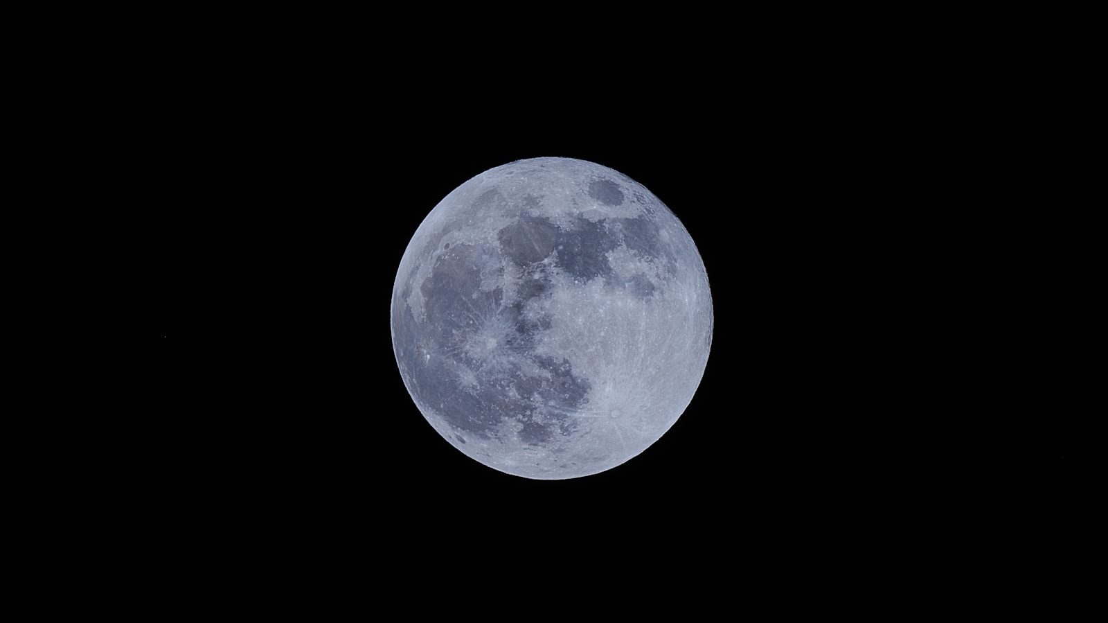 Richard Linklater's Blue Moon Set for Digital Release on Nov 25 | BackZee